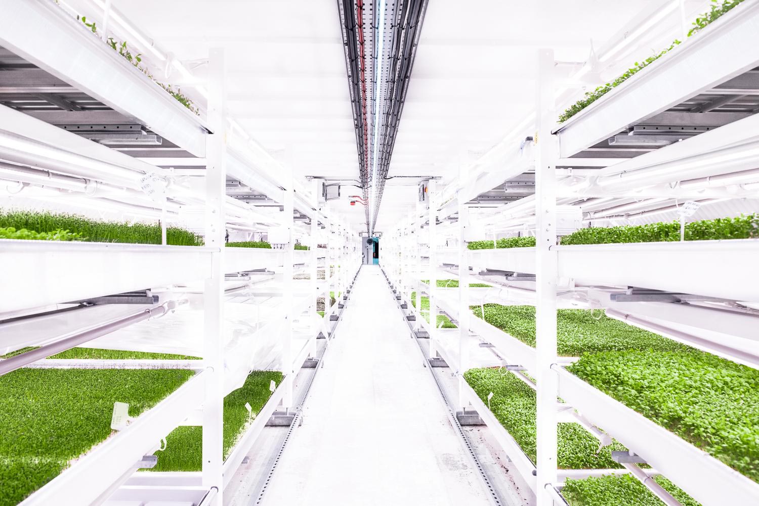 Zero Carbon Food t/a Growing Underground - Agritech UK